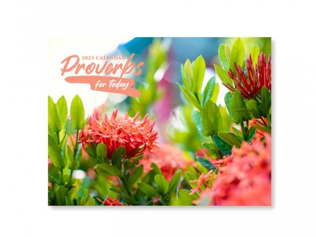 Wall Calendar 2023 - Proverbs For Today - Gladsounds