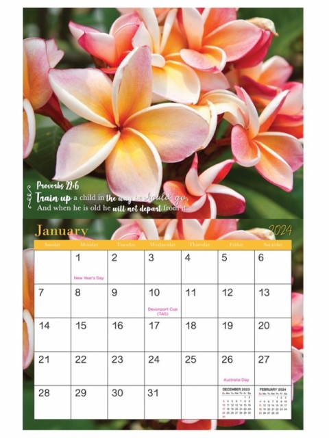 Wall Calendar 2025 - Proverbs For Today - Gladsounds