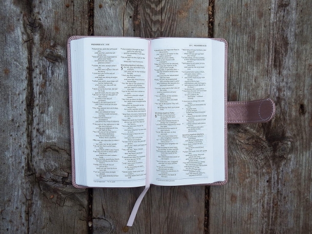 NIV, Pocket Thinline Bible, Pink Leathersoft, Snap Closure, Red Letter ...